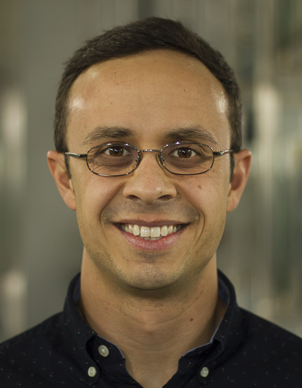 CV – David Alexander Marques